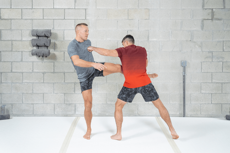 Rushfit - Get Fit Fighting with Georges St-Pierre