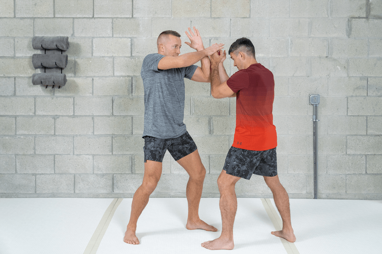 Rushfit - Get Fit Fighting with Georges St-Pierre
