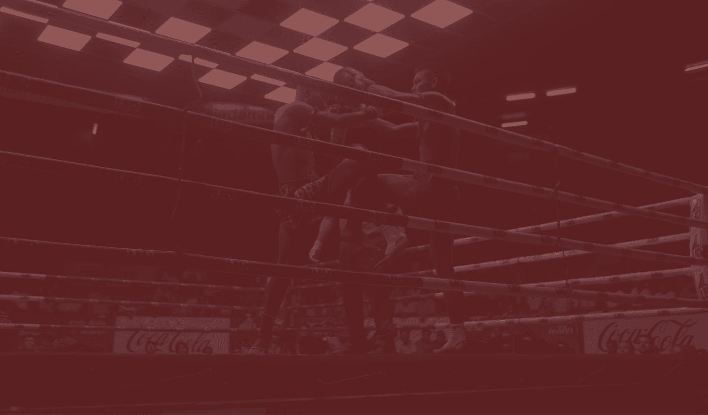 Rushfit - Get Fit Fighting with Georges St-Pierre